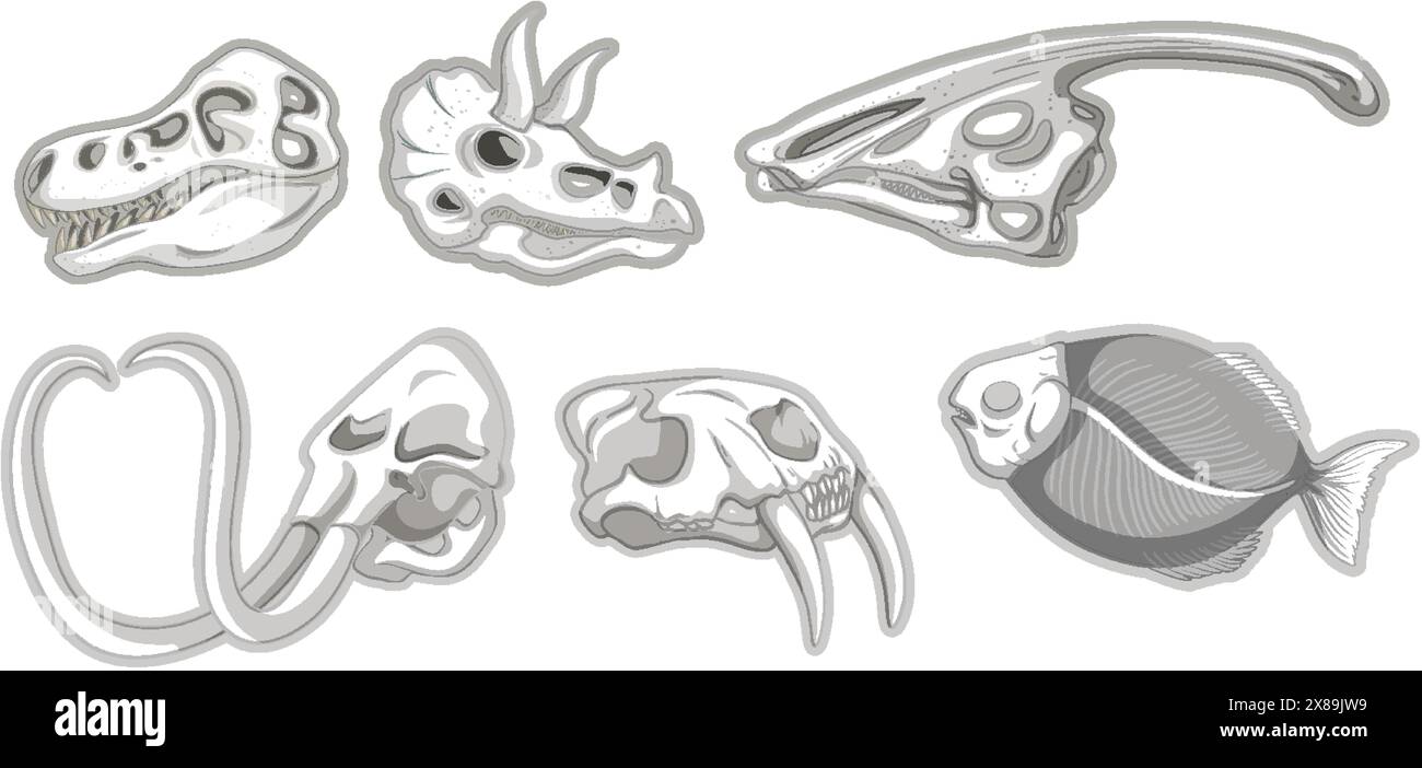 Vector illustrations of diverse animal skulls Stock Vector Image & Art - Alamy