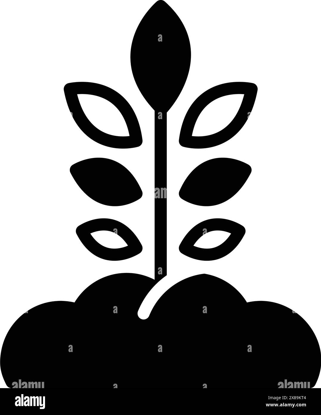 Icon for origination,grow Stock Vector Image & Art - Alamy