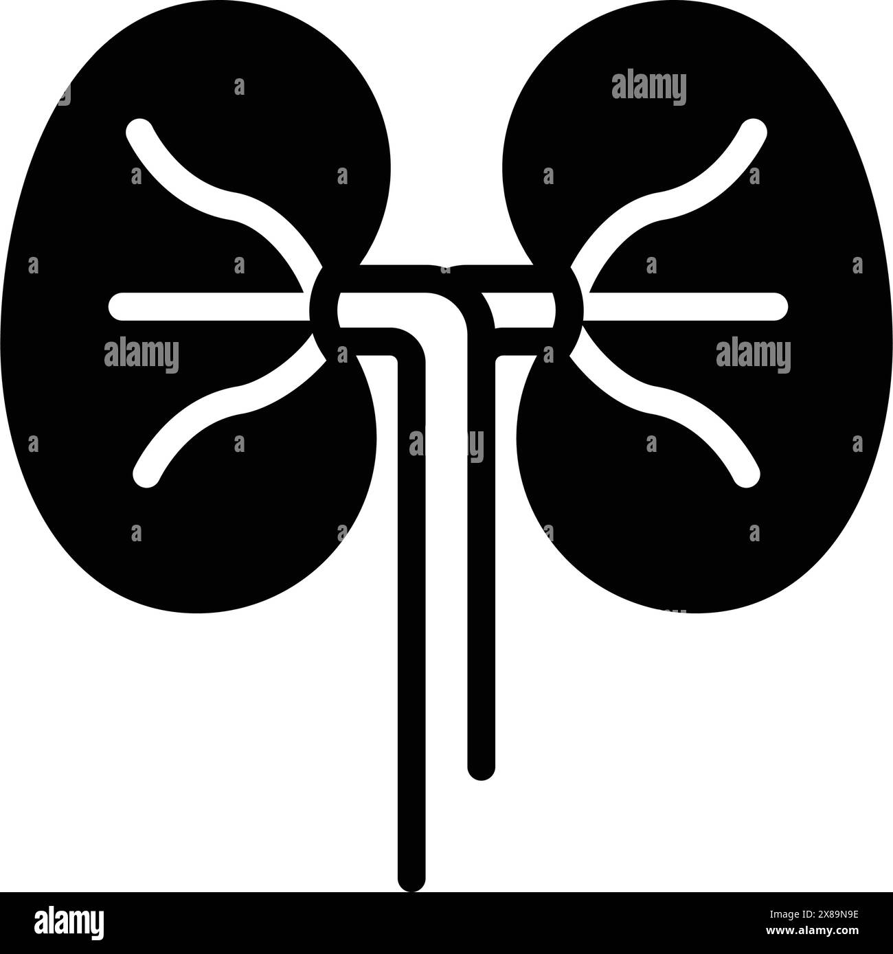 Icon for kidneys,urology,anatomy Stock Vector Image & Art - Alamy