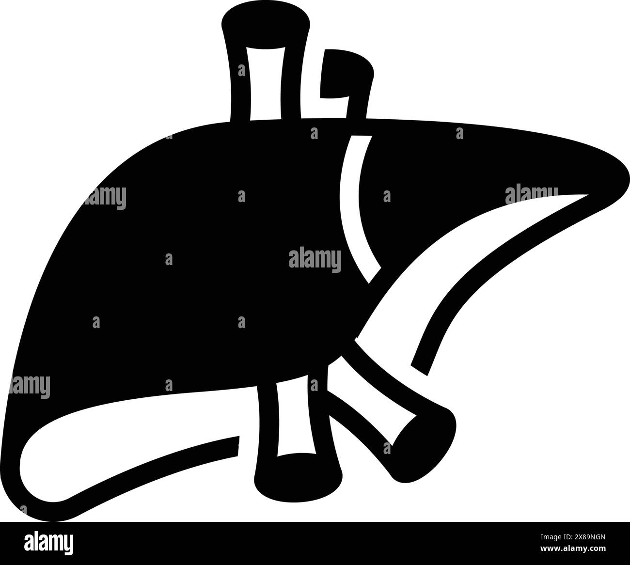 Icon for liver,anatomy Stock Vector Image & Art - Alamy