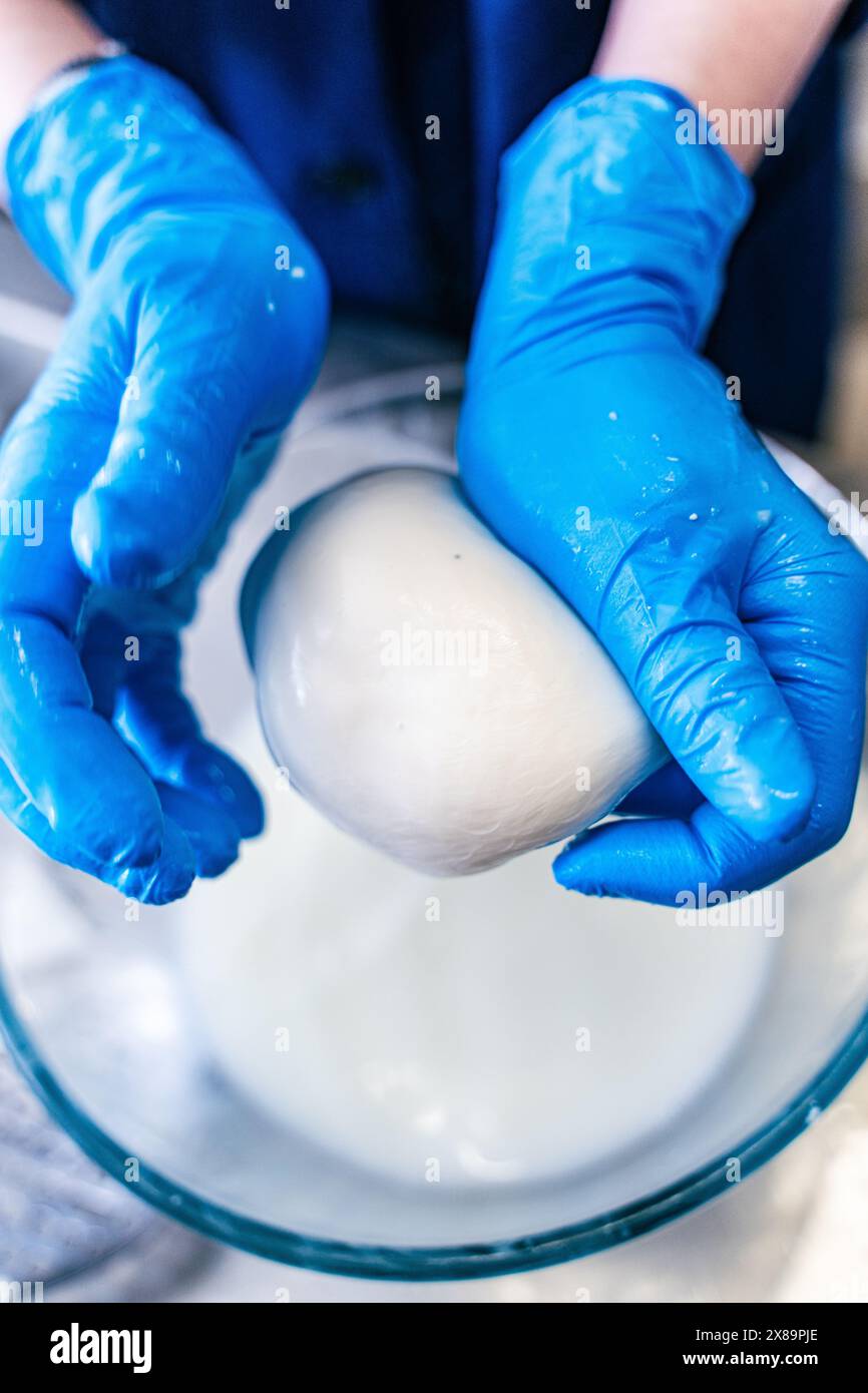 Making mozzarella cheese. Gloved hands holding cheese in hands. High quality photo Stock Photo ...
