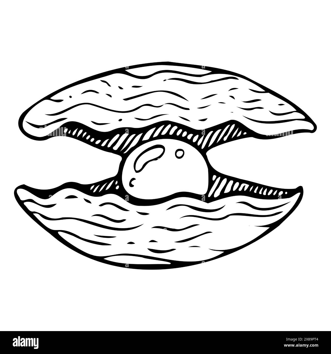 Sea shell with pearl black white freshwater mussel Stock Vector Image ...