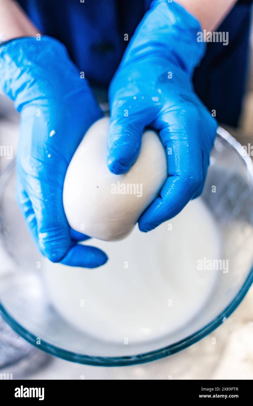Close-up of mozzarella cheese rolling with blue-gloved hands. The ...