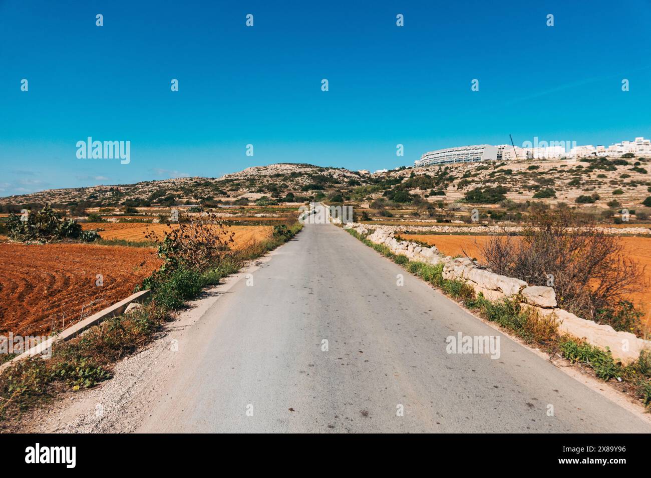 A winding road meanders through colorful farmland in Malta, a landscape ...