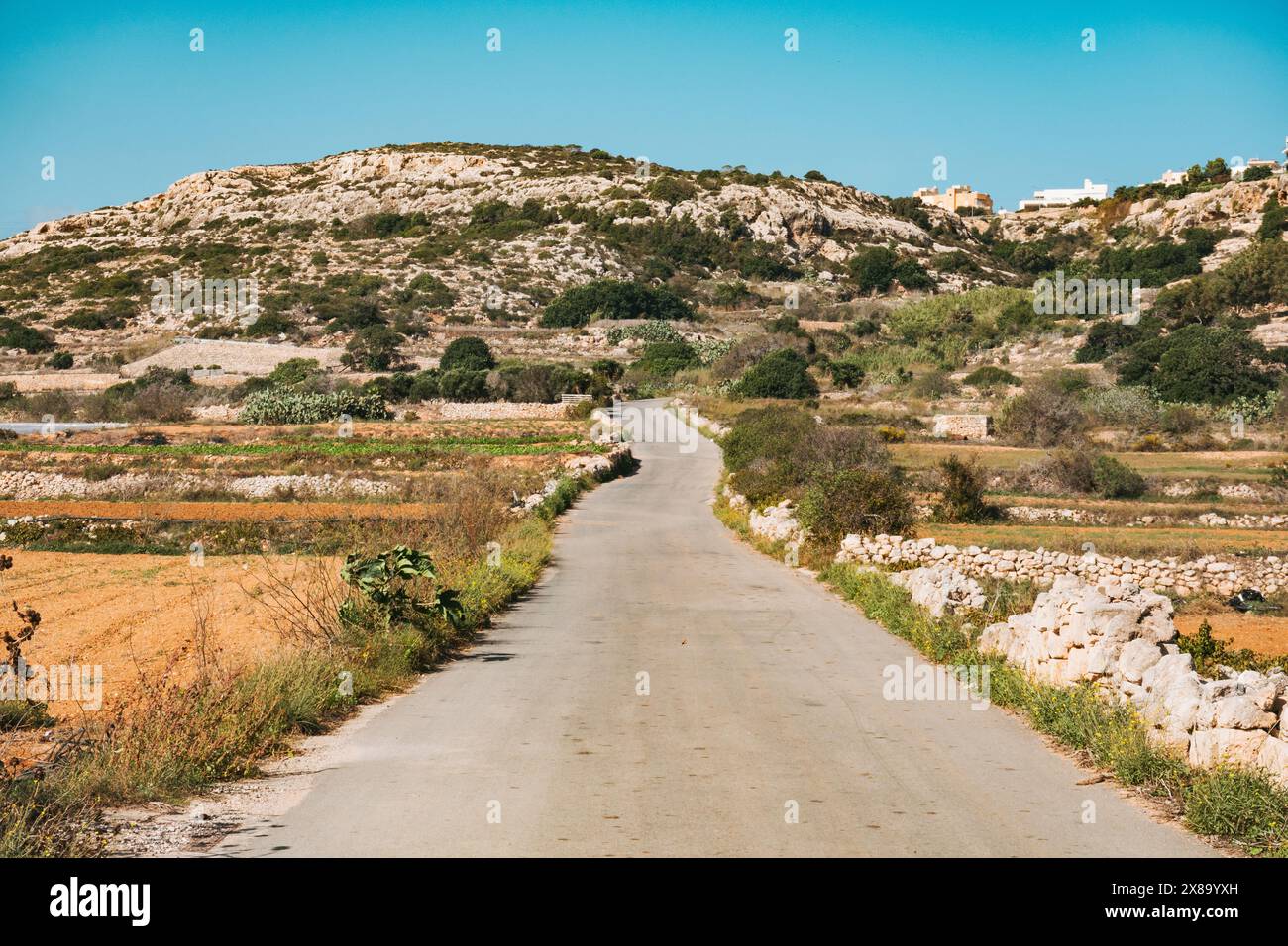 A winding road meanders through colorful farmland in Malta, a landscape ...