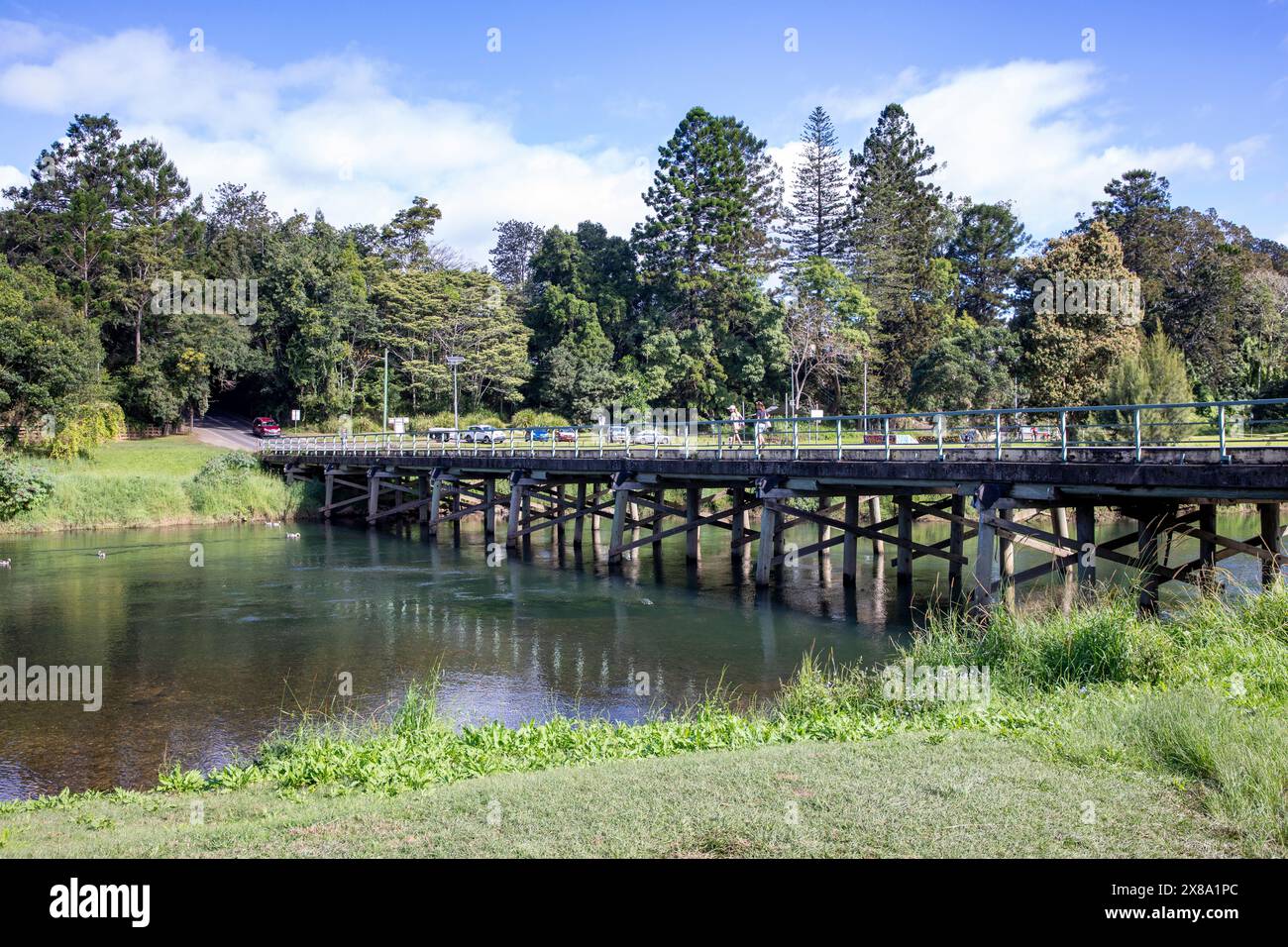 Bellingen town on waterfall way mid north coast of New South Wales ...