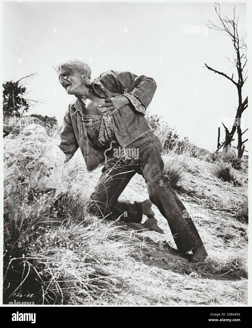 Bonnie and Clyde (Warner Brothers, 1967).starring Warren Beatty and ...