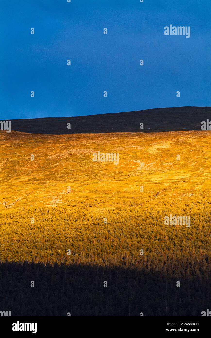 Sunlight casts tall shadows hi-res stock photography and images - Alamy