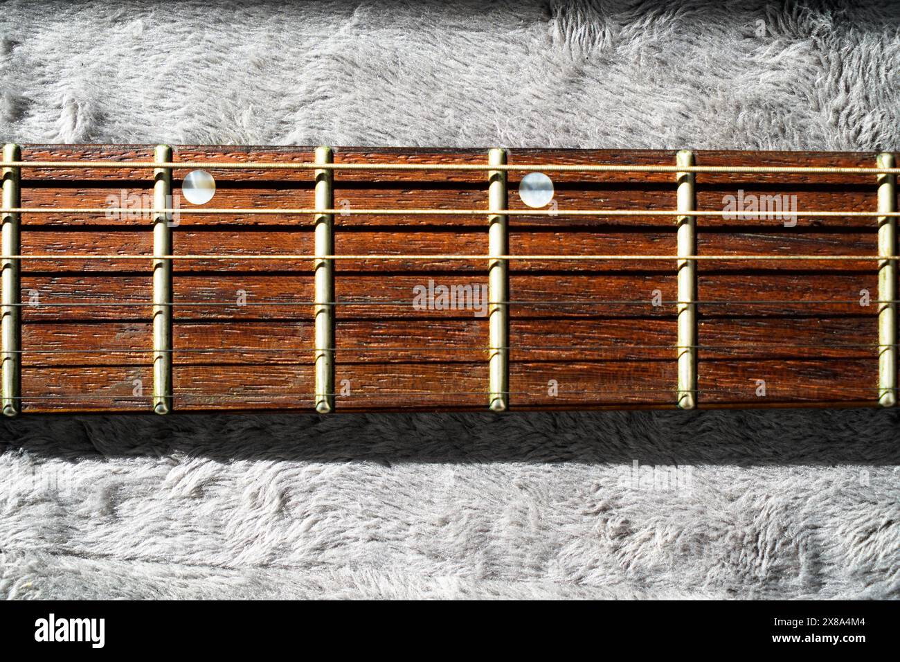 Close-up of electric guitar steel strings and fretboard made of ...