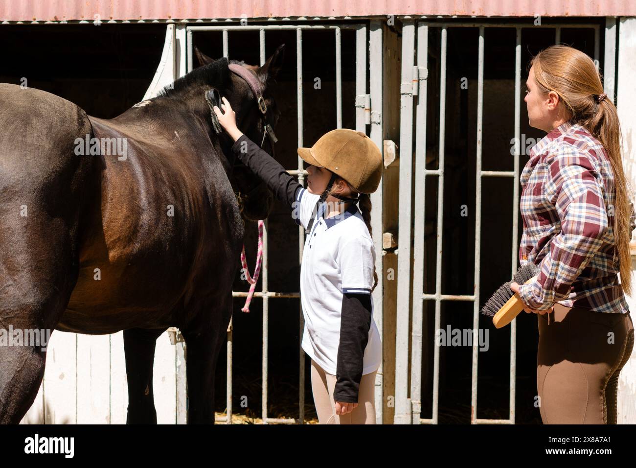 Child and woman grooming a horse by a stable Stock Photo - Alamy