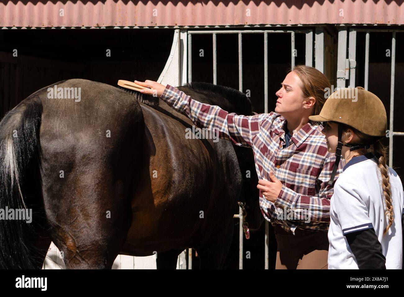Woman brushing a dark horse with child girl observing near a stable ...