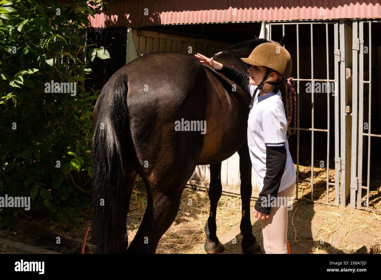 Child girl actively grooms a horse under adult supervision at a stable ...