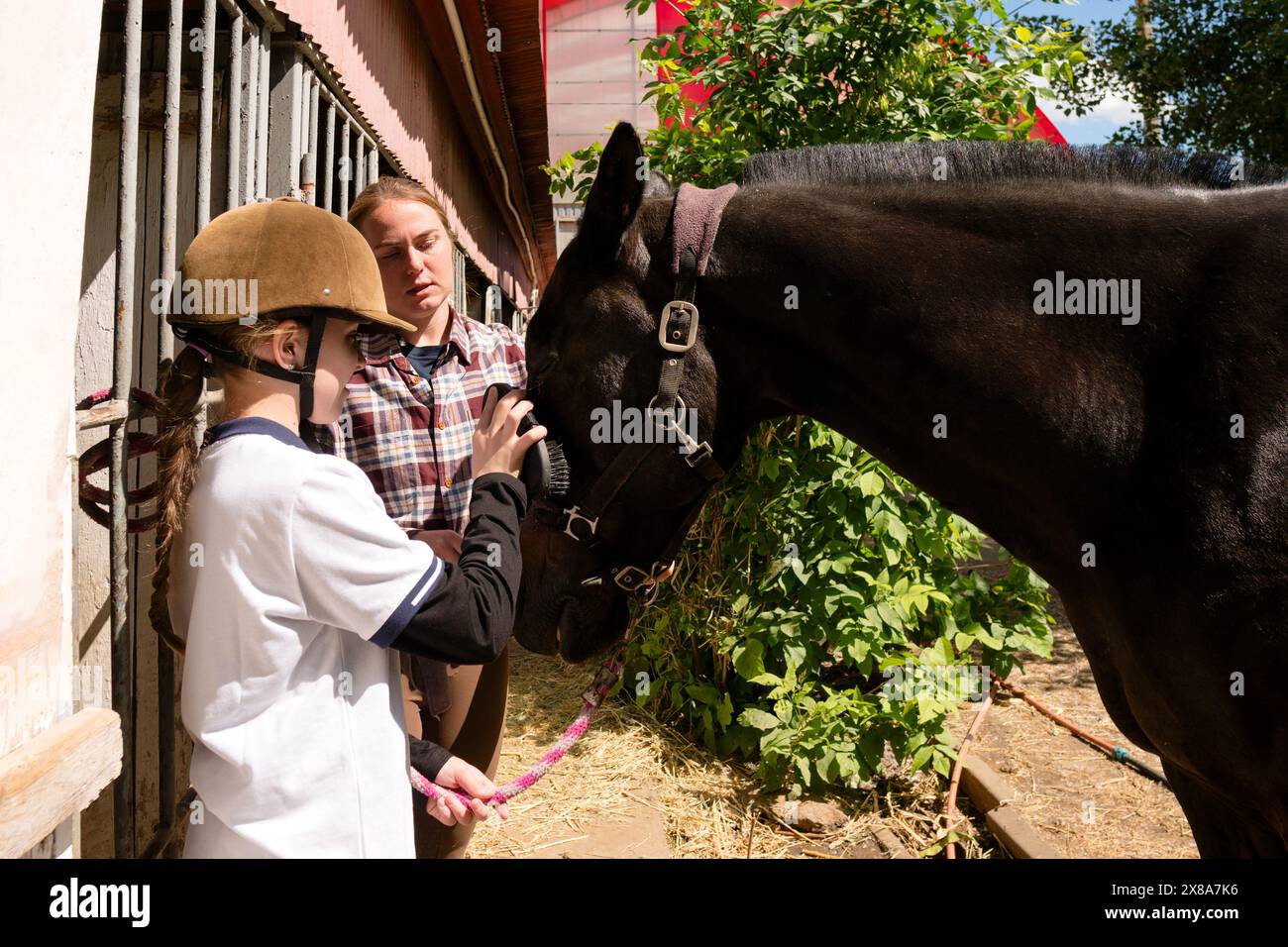 Child girl pats a horse under adult supervision at a stable Stock Photo ...