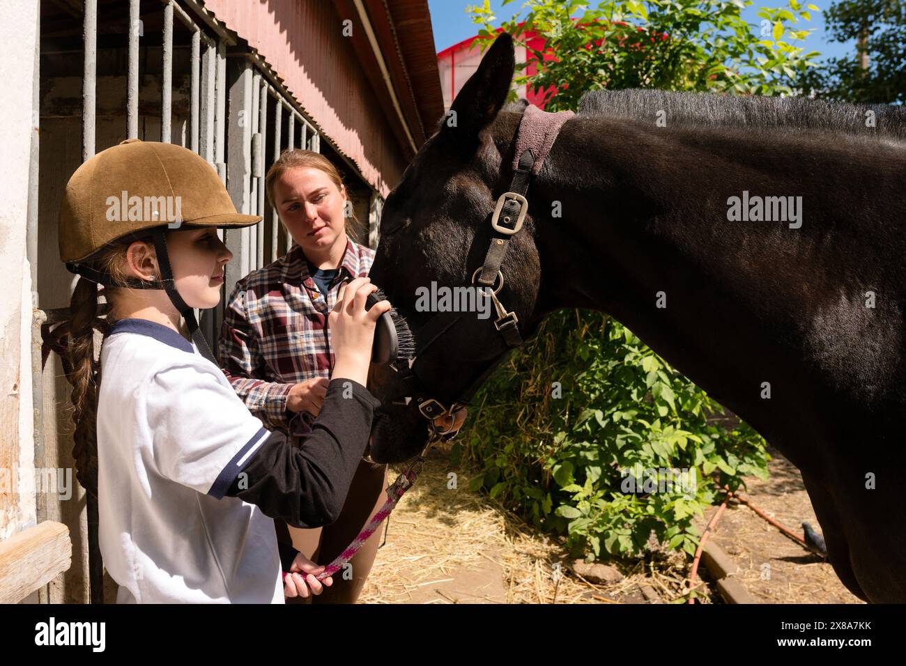 A young girl grooming a horse with guidance from an instructor. Routine ...