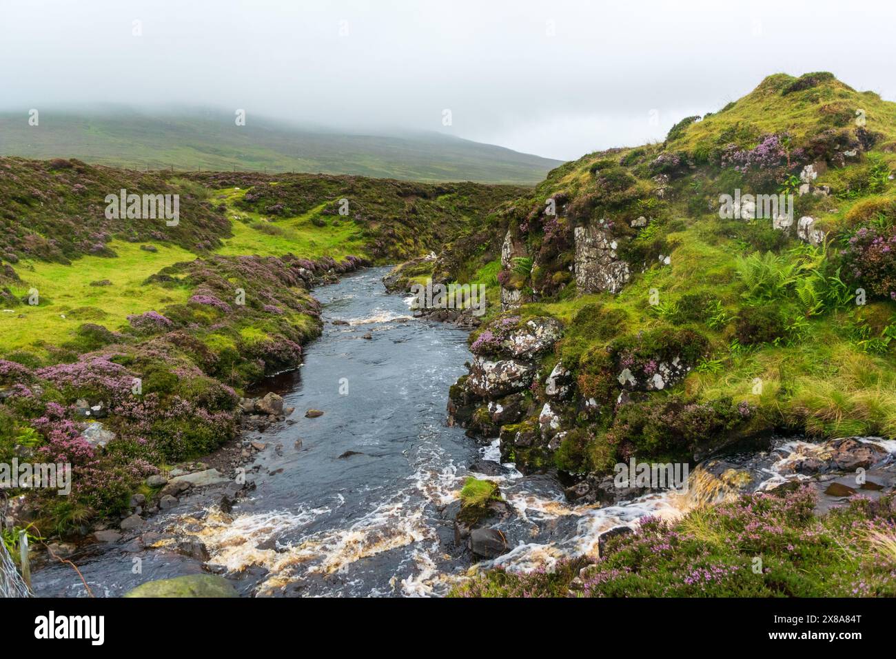 Floating meadow grass hi-res stock photography and images - Alamy
