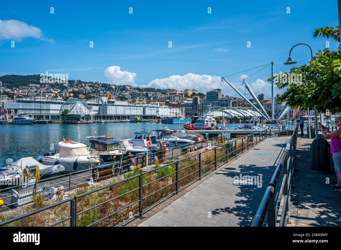 Genoa. Art and architecture by the sea. Between history and modernity ...