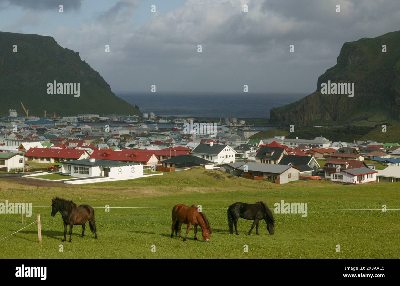 WESTMAN ISLANDS HEIMAEY Stock Photo - Alamy