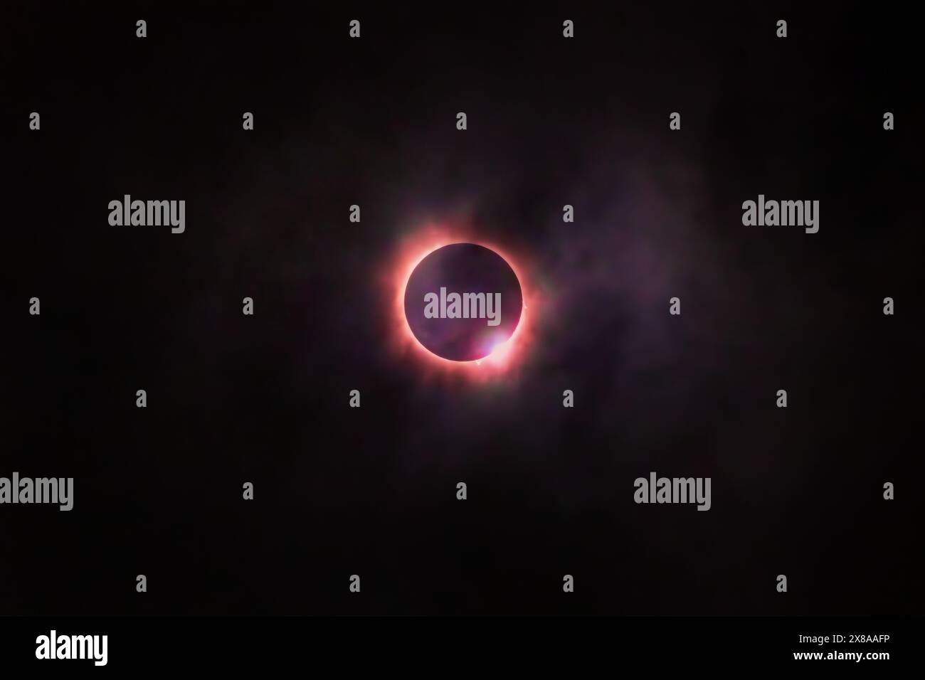 Total solar eclipse 2024 Texas with visible solar eruptions Stock Photo ...