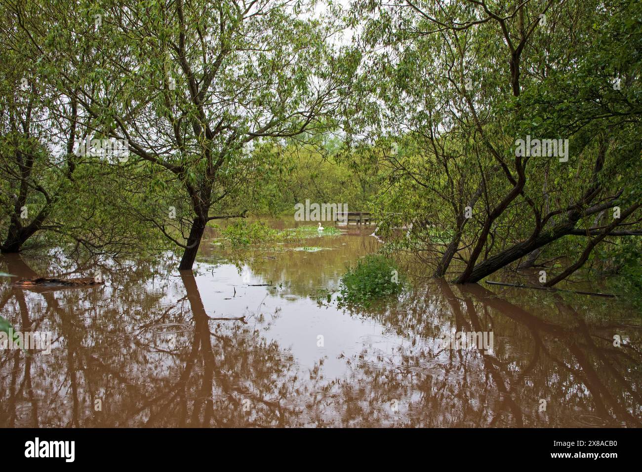 Water overflow pond hi-res stock photography and images - Alamy