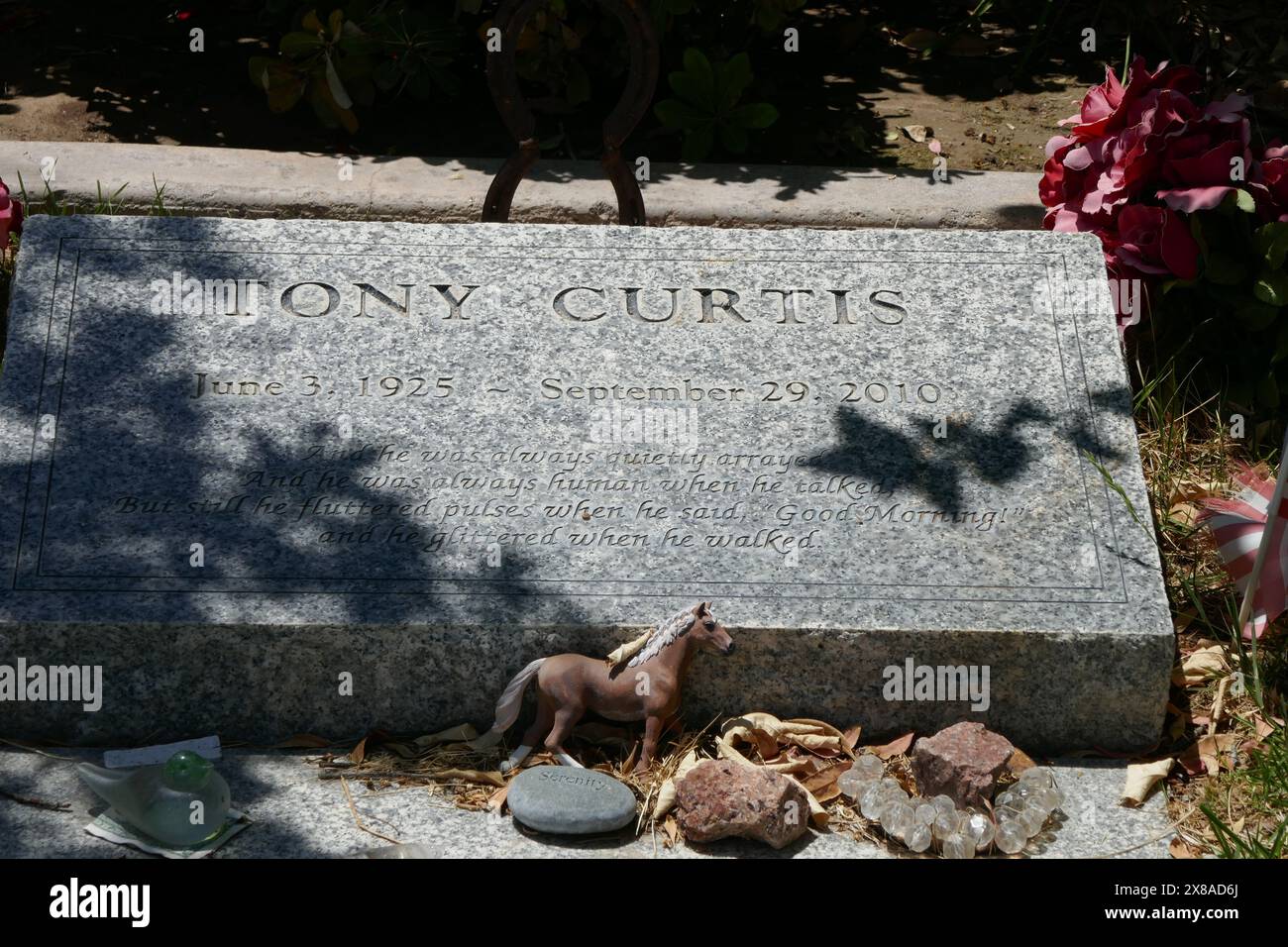 Las Vegas, Nevada, USA 14th May 2024 Actor Tony Curtis Grave in Legacy ...