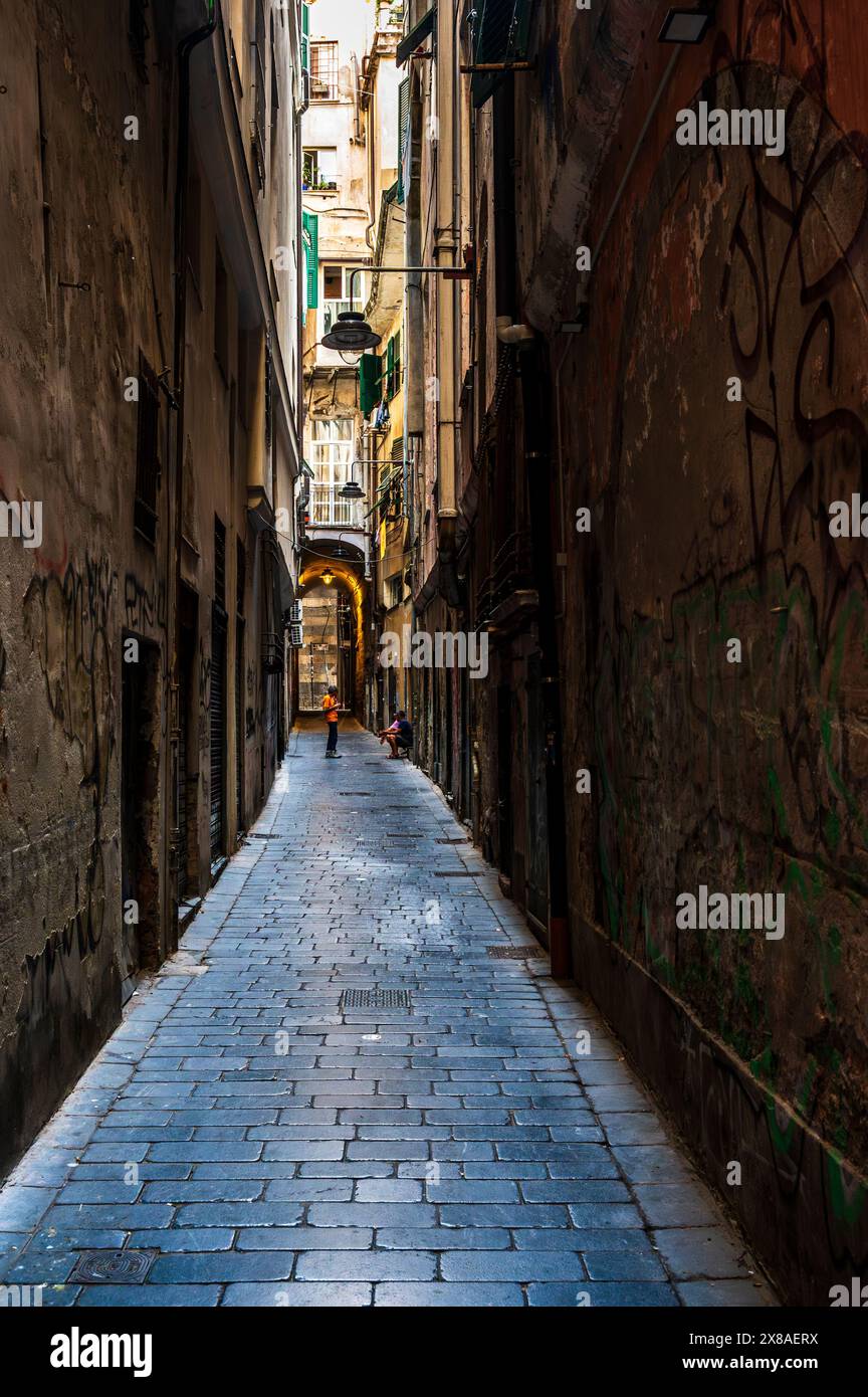 Genoa. Art and architecture by the sea. Between history and modernity ...