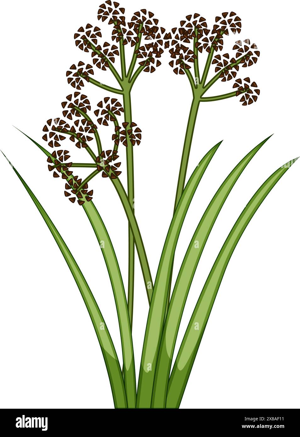 pond lake plant cartoon vector illustration Stock Vector Image & Art ...