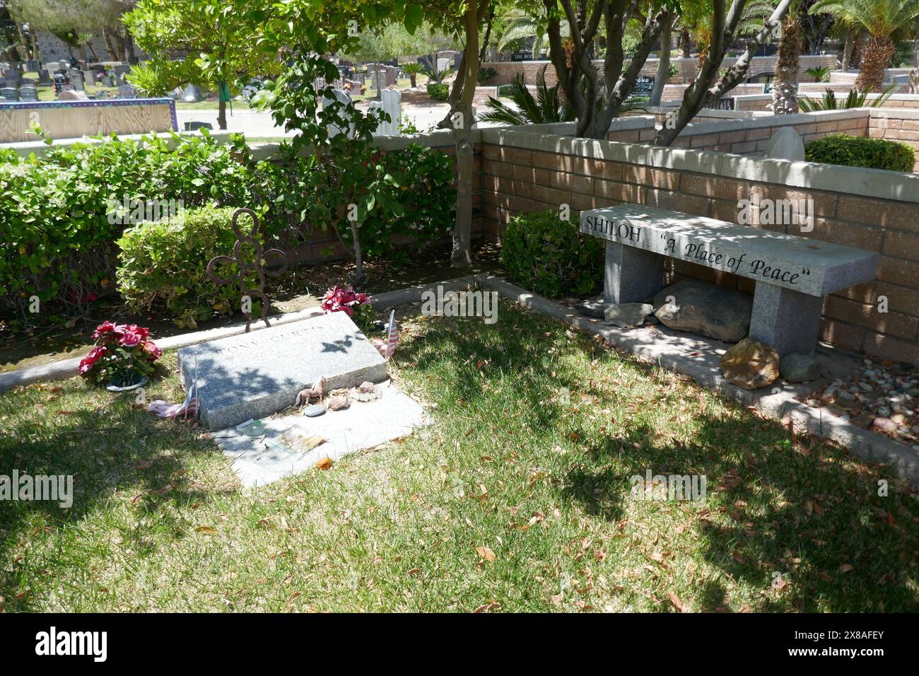 Las Vegas, Nevada, USA 14th May 2024 Actor Tony Curtis Grave in Legacy ...