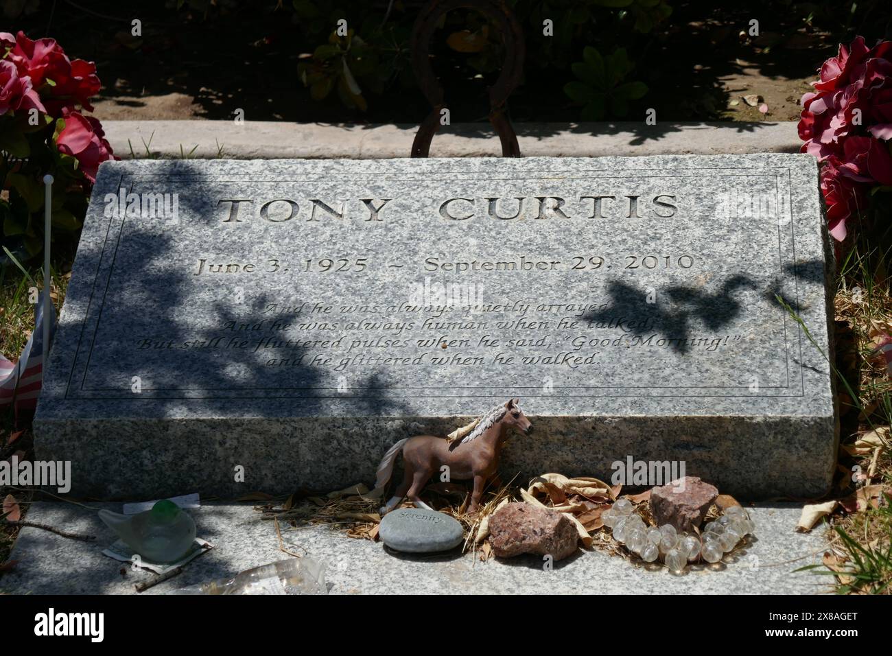 Las Vegas, Nevada, USA 14th May 2024 Actor Tony Curtis Grave in Legacy ...