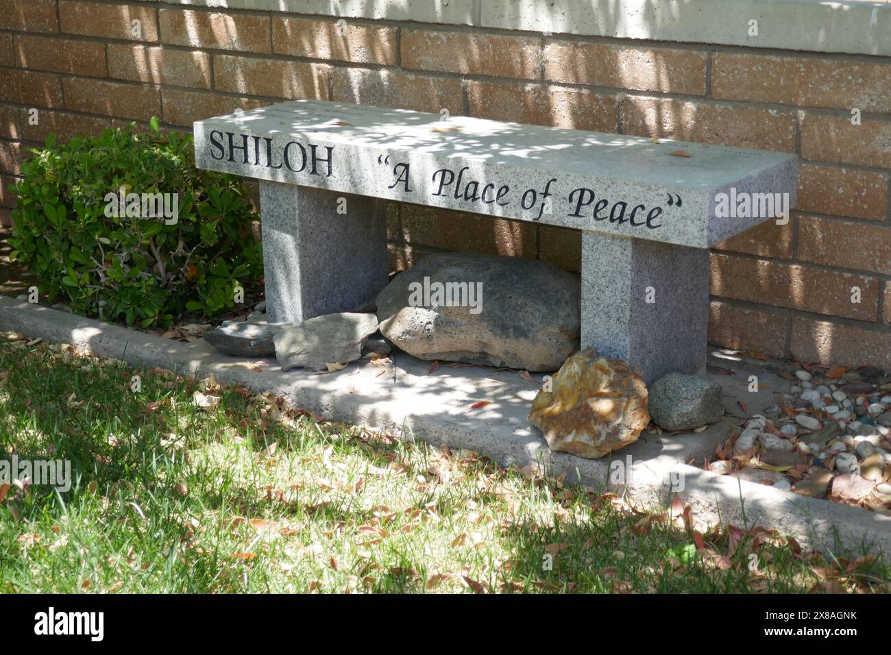 Las Vegas, Nevada, USA 14th May 2024 Actor Tony Curtis Grave in Legacy ...