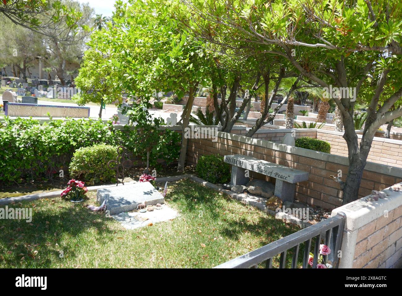 Las Vegas, Nevada, USA 14th May 2024 Actor Tony Curtis Grave in Legacy ...