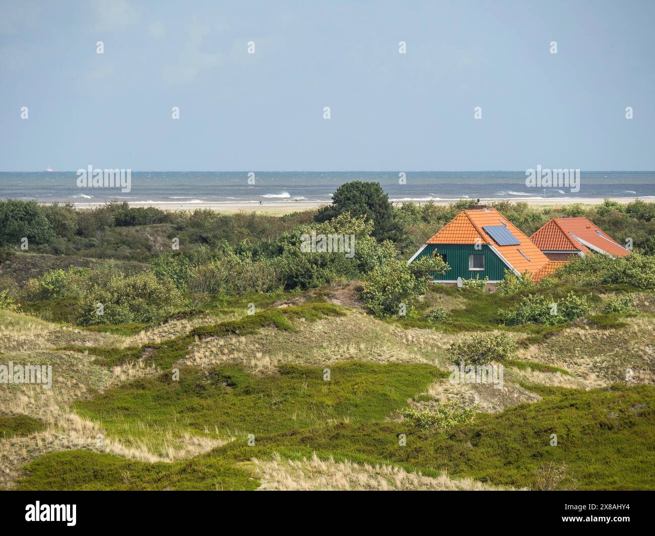Houses with red roofs embedded in a green dune landscape with a view of ...
