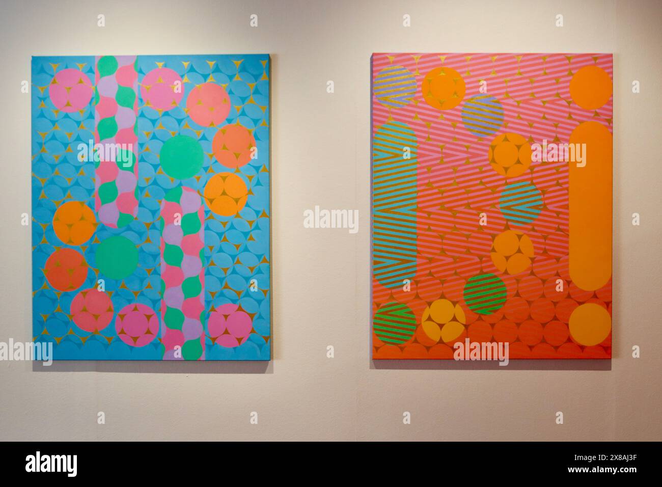 Paintings by artist Mari Rantanen at her exhibition, which opened on ...