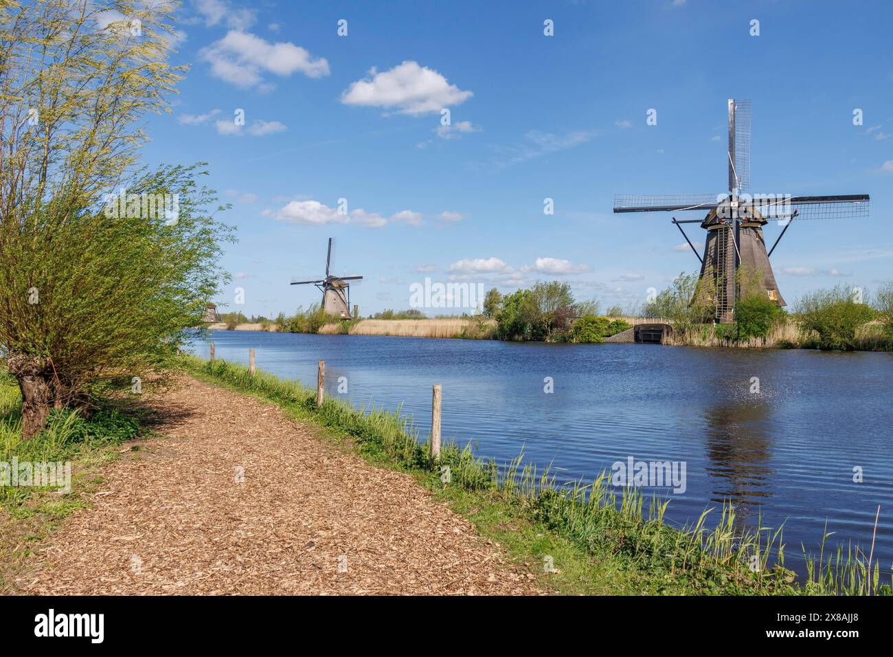Two windmills on the riverbank, along a path with trees, under a blue ...