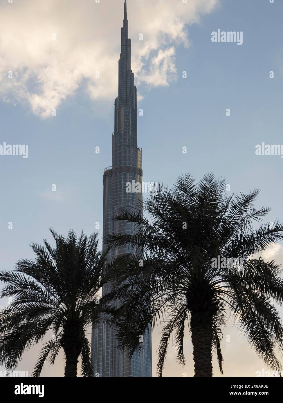 The Burj Khalifa rises high into the sky next to palm trees in Dubai ...