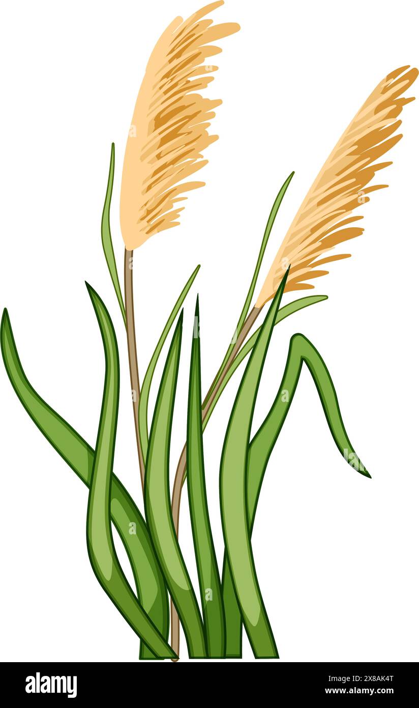 Reed camp Cut Out Stock Images & Pictures - Alamy