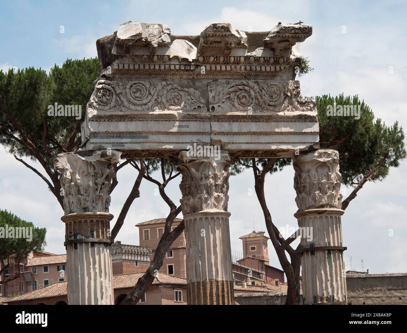 Detailed view of ancient Roman columns with carvings, surrounded by ...