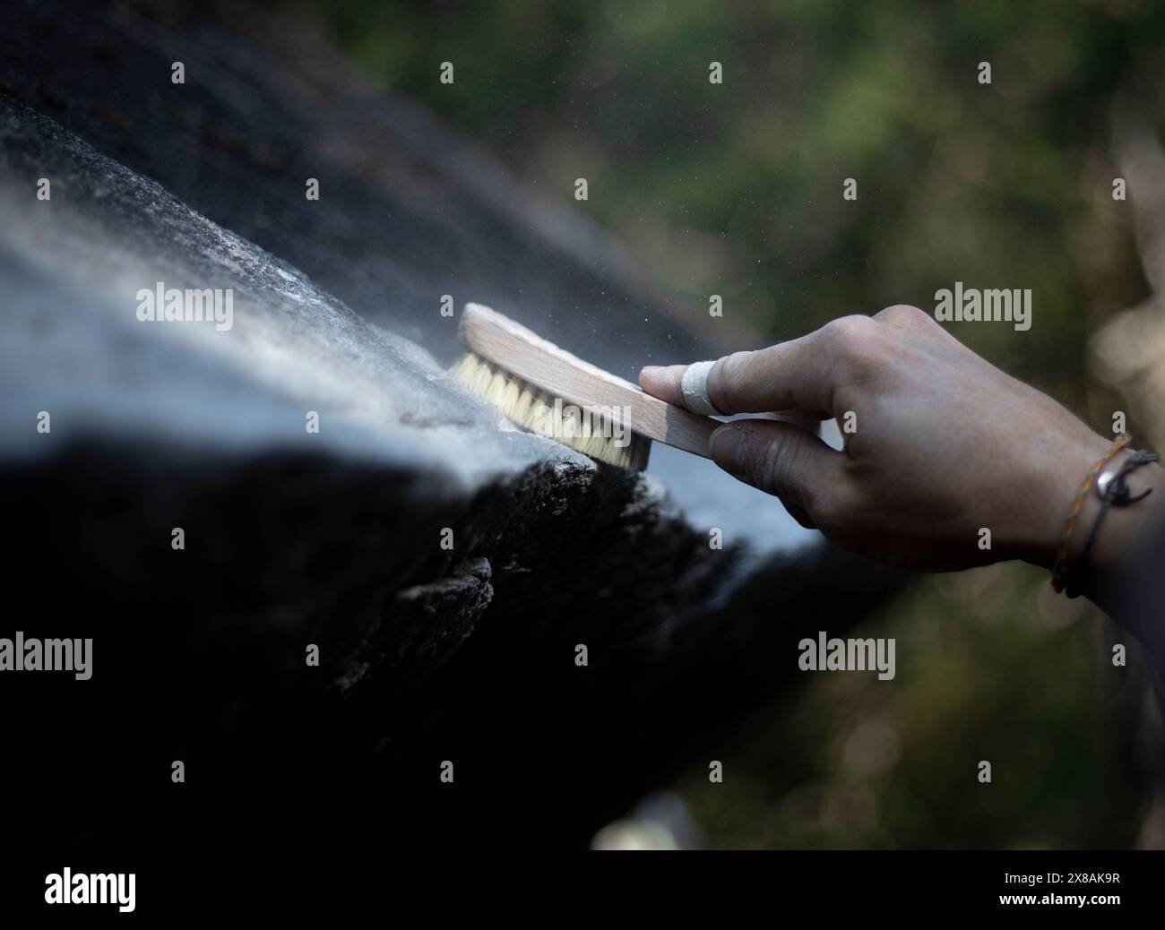 Bouldering magic wood switzerland hi-res stock photography and images ...
