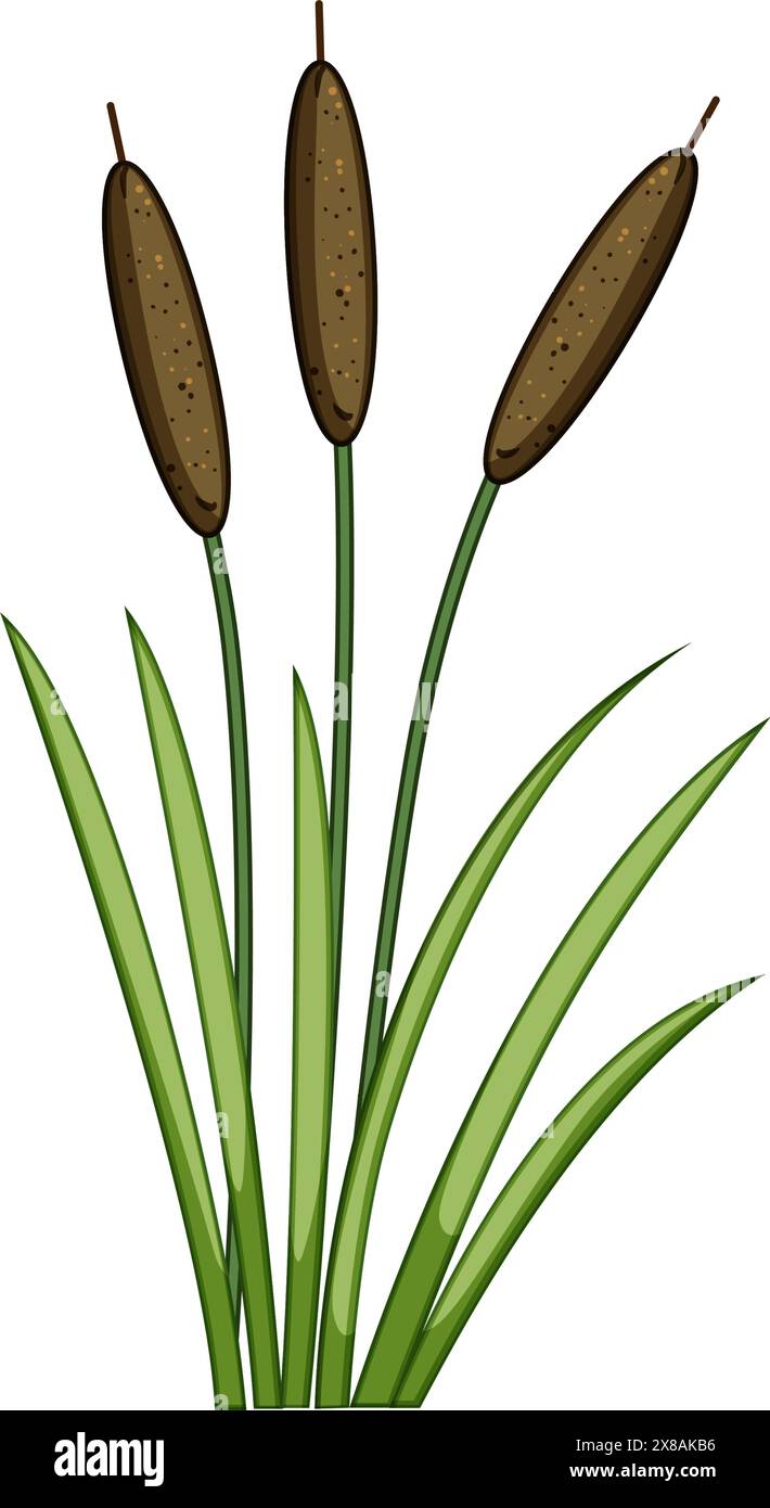 Wetland Lake Plant Cartoon Vector Illustration Stock Vector Image And Art