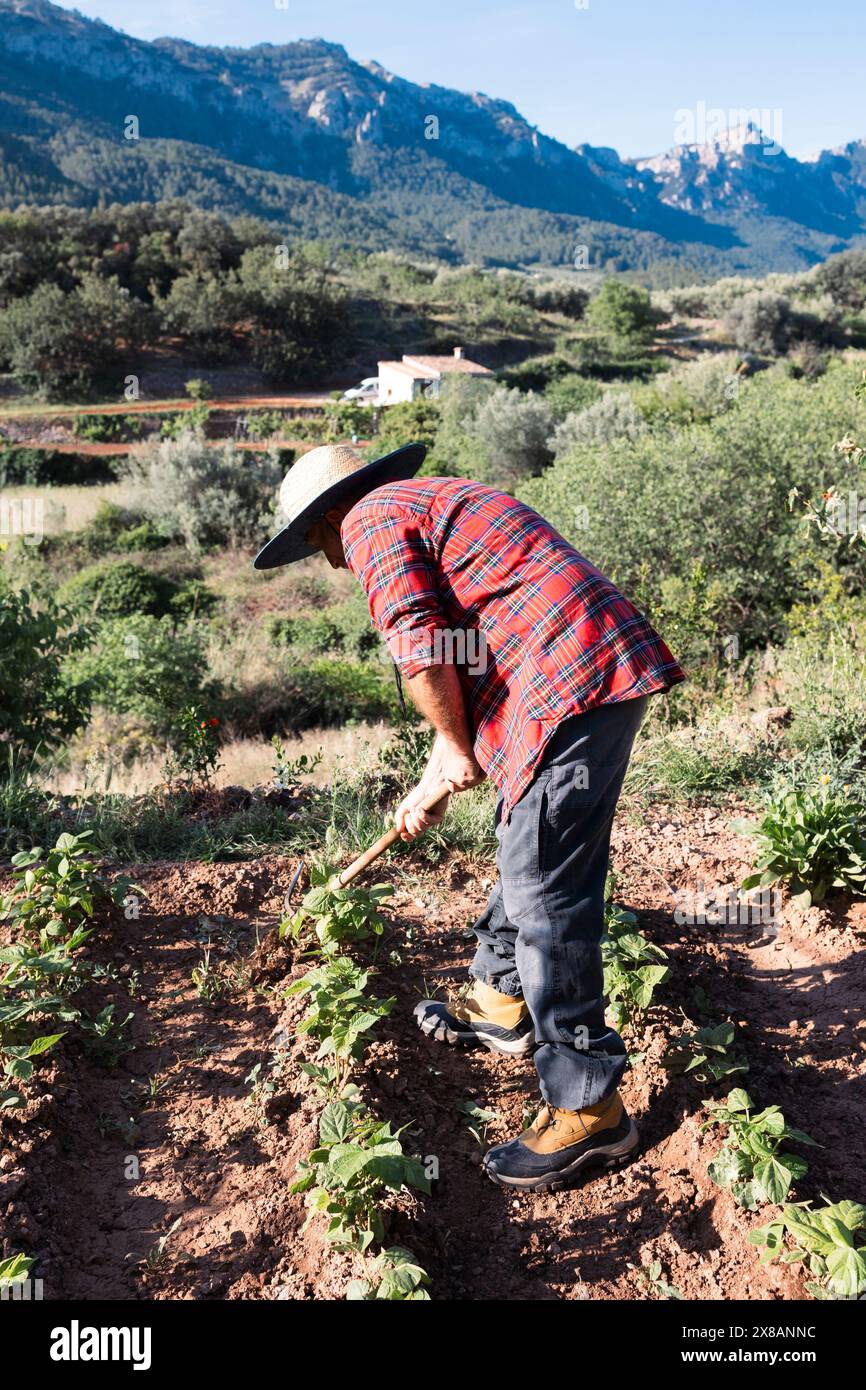 Farmers cultivating soil in the garden with tools at hand Stock Photo ...