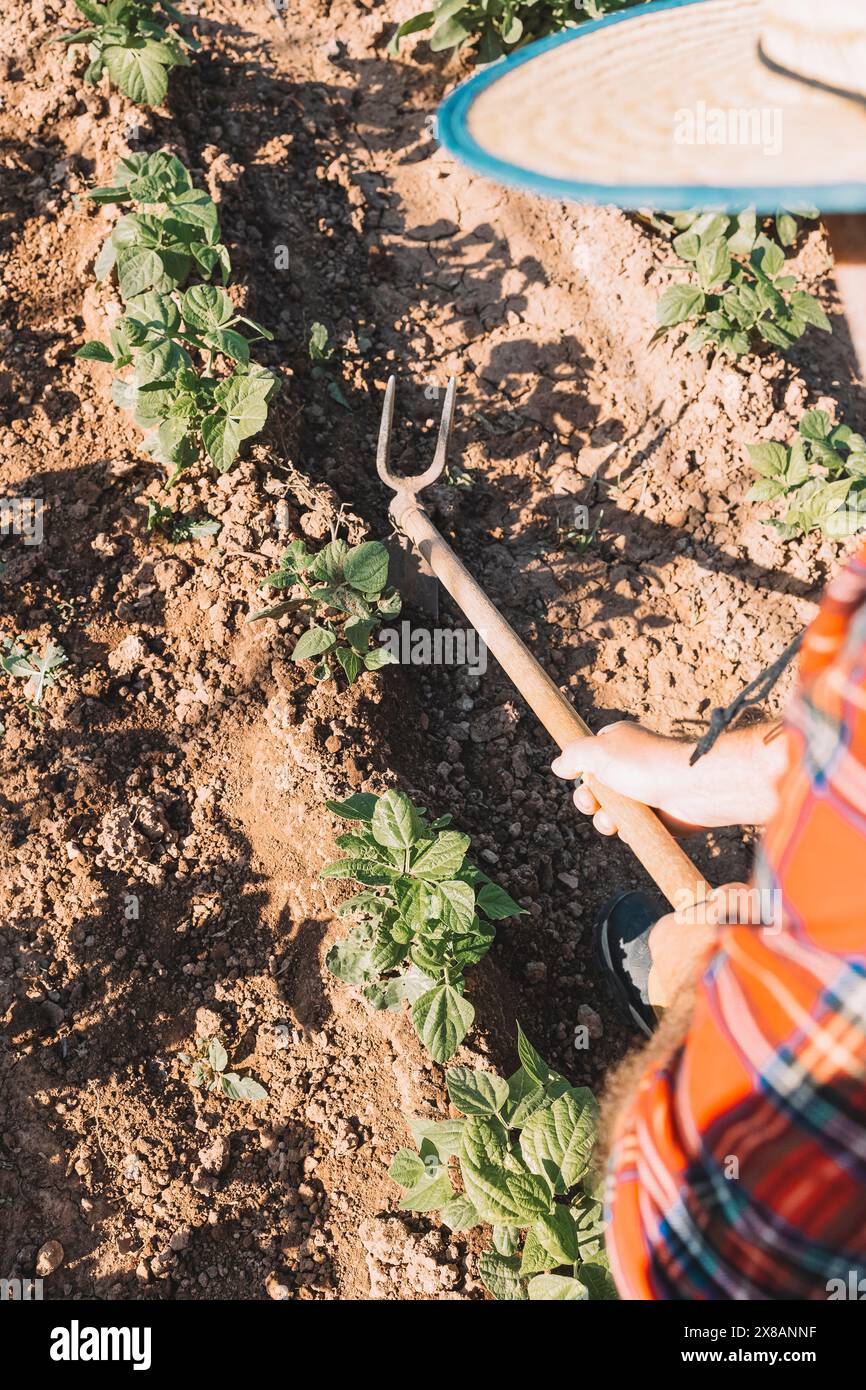 Farmer digging spade hand tool hi-res stock photography and images - Alamy
