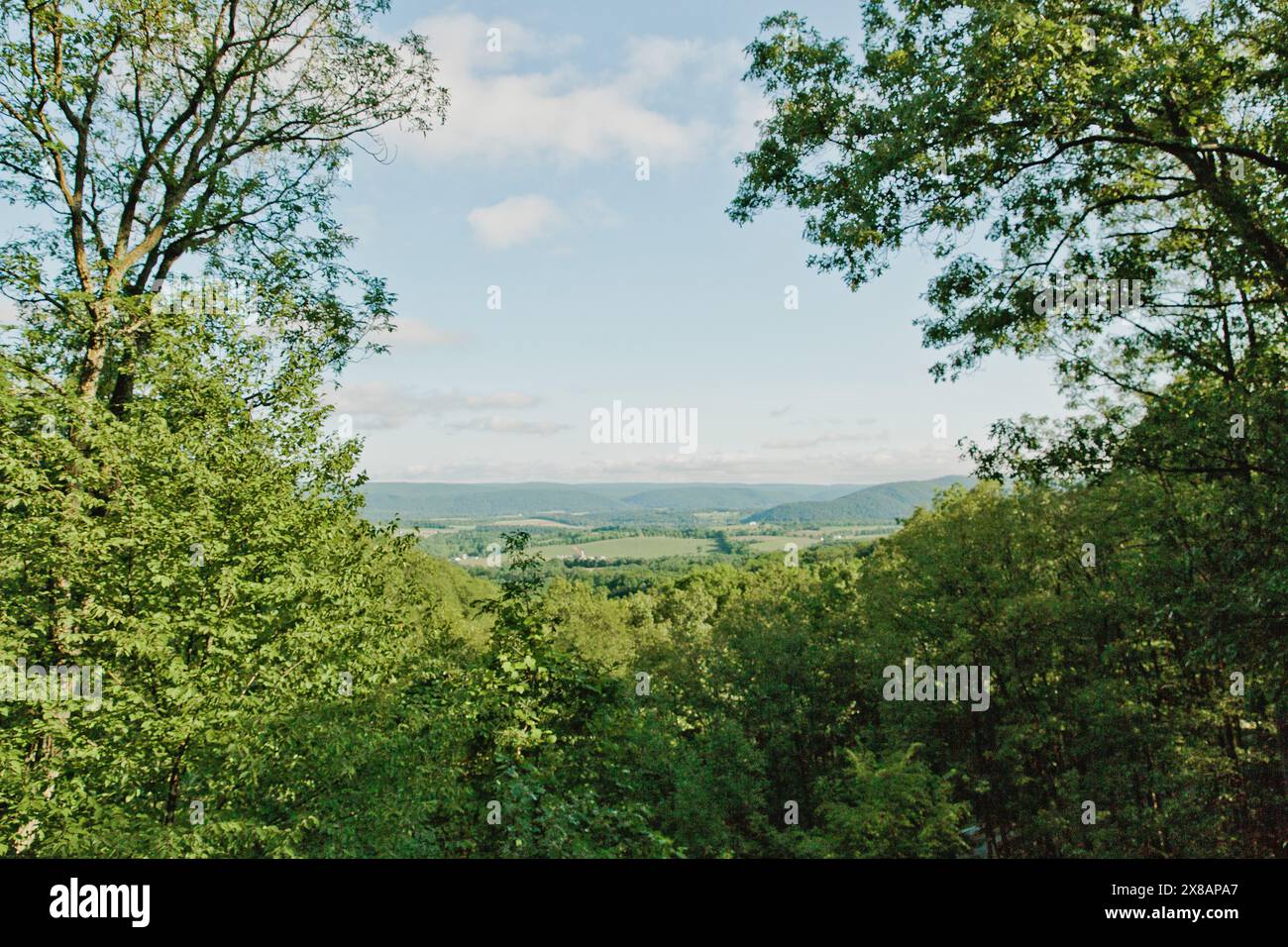 Cabin View of North east valley of trees in Pennsylvania Stock Photo ...