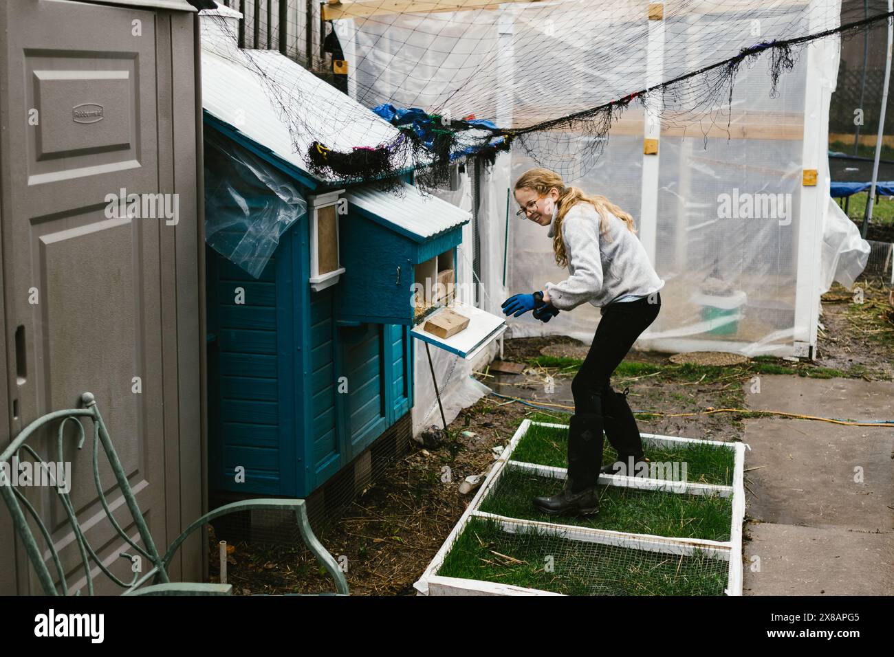 Girl checks egg laying spot on chicken coop in back yard Stock Photo ...