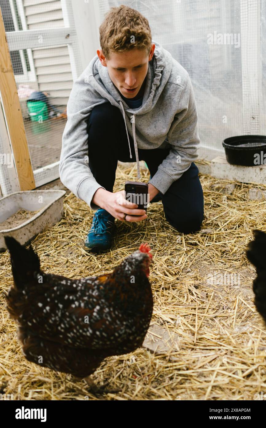 Teen boy snaps picture of hens in chicken coop in backyard Stock Photo ...