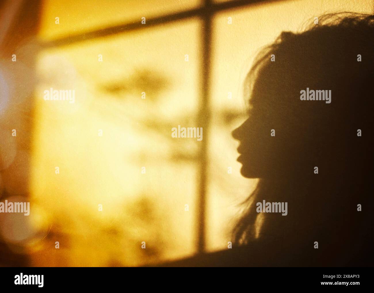 Beautiful profile shadow of young girl in window Stock Photo - Alamy