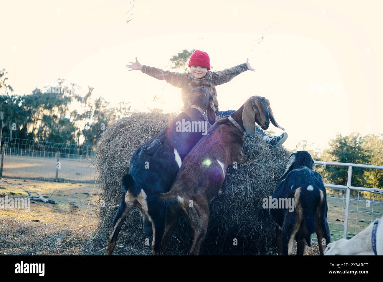 Child in red hat joyfully sitting on hay bale with arms outstret Stock ...