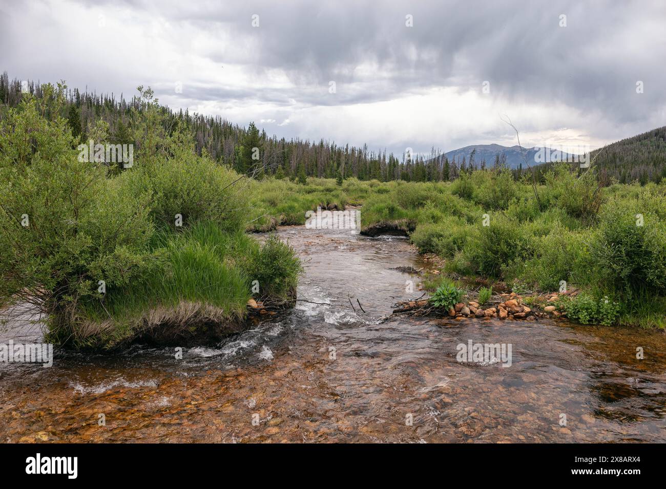 Serene mountain stream flowing through hi-res stock photography and ...