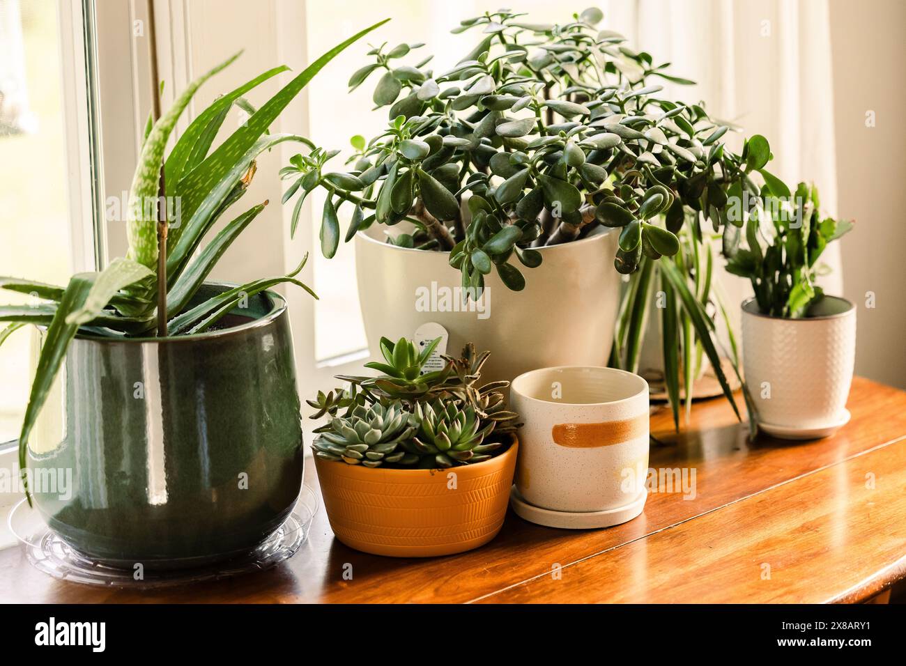 Enchanting oasis hi-res stock photography and images - Alamy