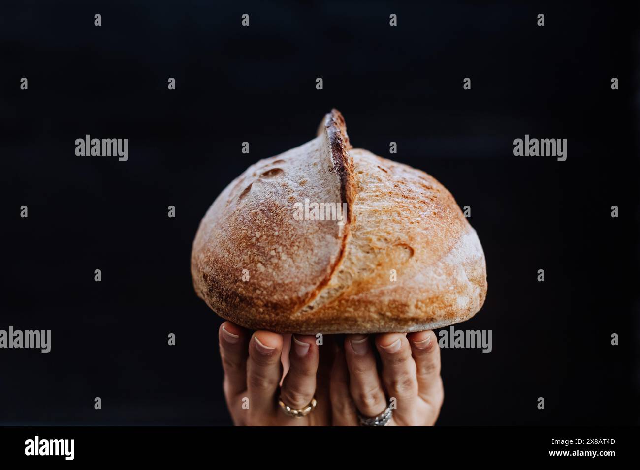 Hands holding up freshly baked bread against a dark background Stock ...