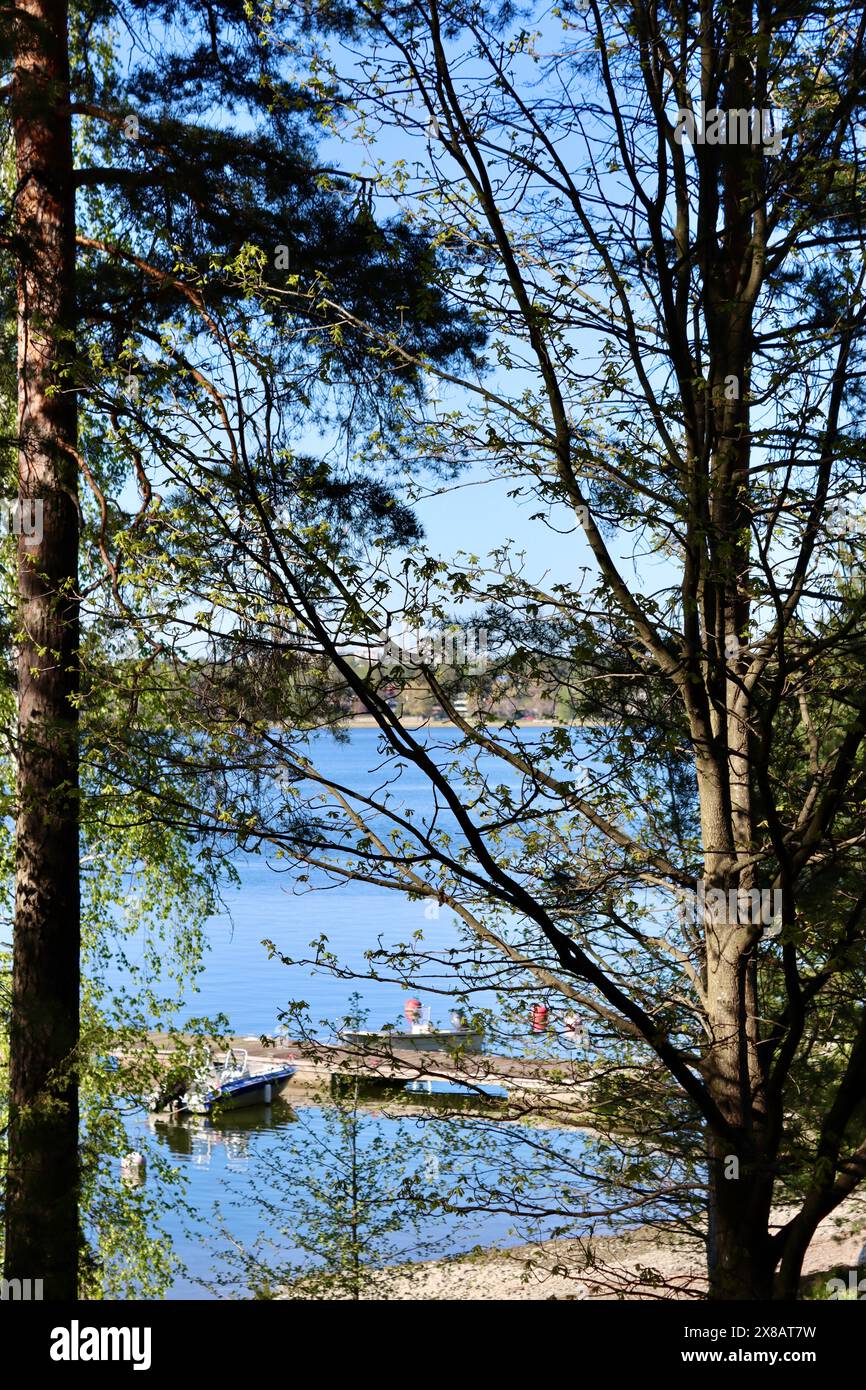 Helsinki city trees hi-res stock photography and images - Alamy