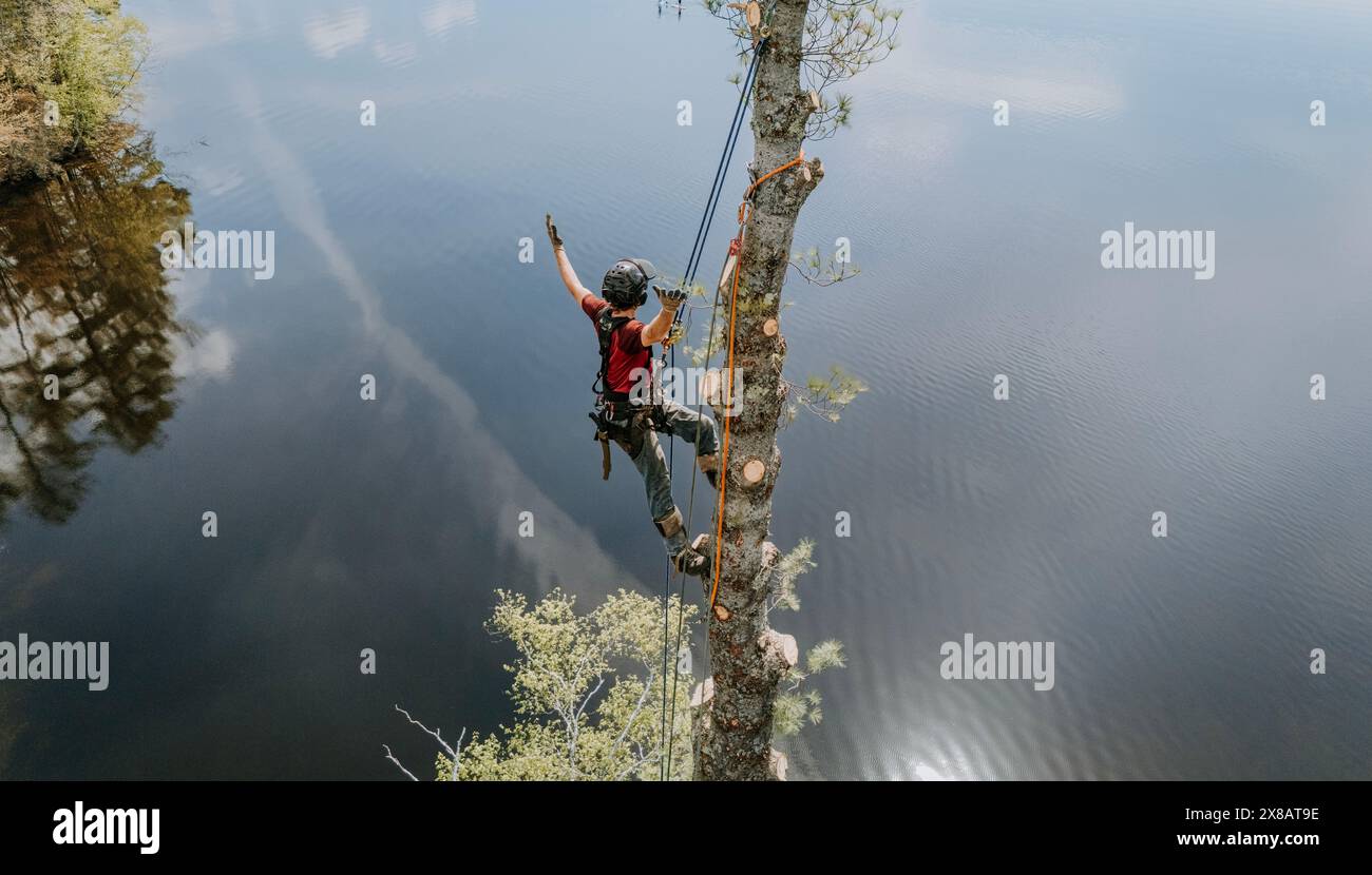 Cut the rope hi-res stock photography and images - Alamy